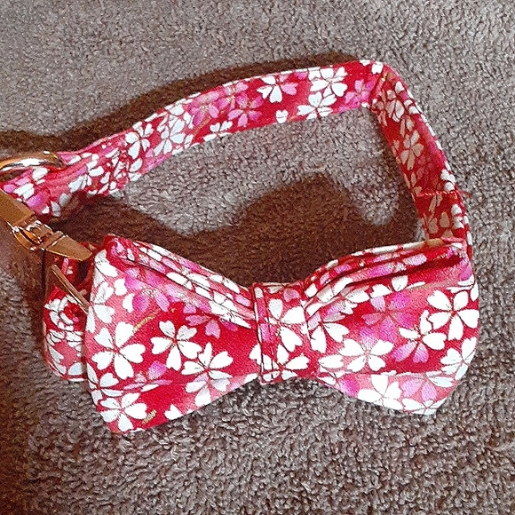 Dog | Dog Collor Pink With Bow | Poshmark